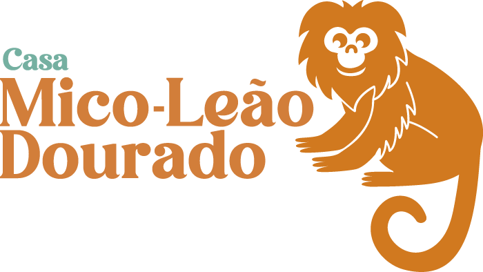 CASA MICO-LEAO DOURADO CURRICULUM - Casa Feliz ChildCare